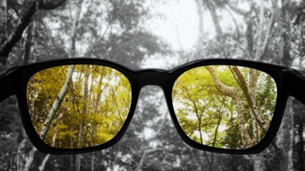 6 Vision Innovations Helping Colorblind People See Better - Daily ...