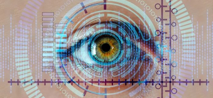 Can Eye-Tracking Devices Really Boost Productivity? - Daily EyewearDigest