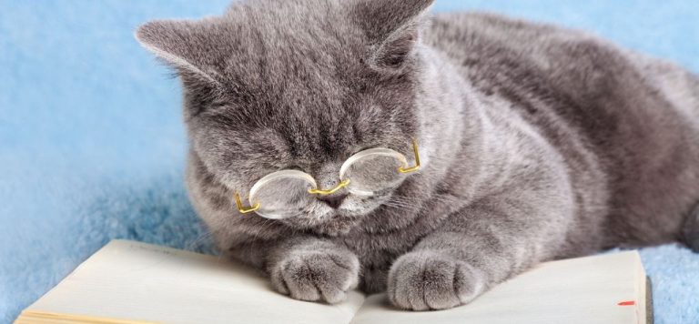 Magnifying Glasses and Reading Glasses: A Guide for Older Adults ...