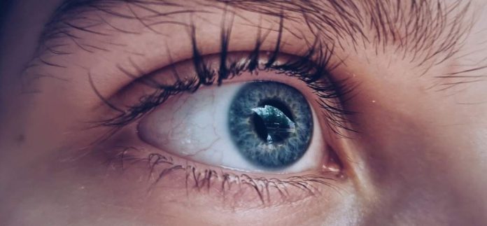 What Your Pupil Size Can Reveal About Your Eye Health - Daily EyewearDigest